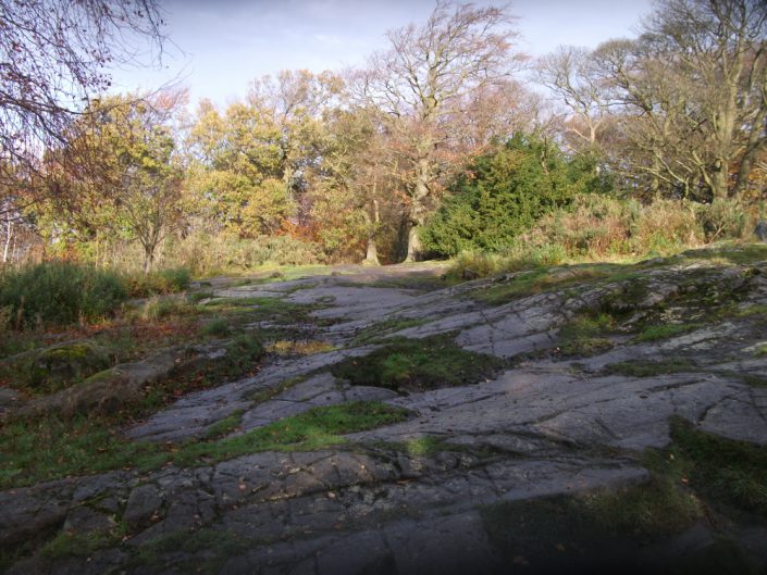Edinburgh's Geological Sites - Edinburgh Geological Society